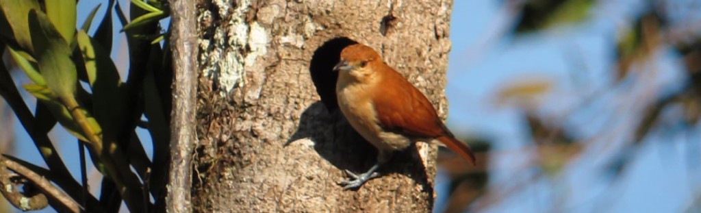 Index of /blog/wp-content/uploads/2010/12