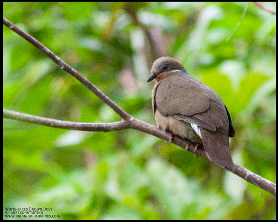 Index of /wp-content/uploads/2011/05