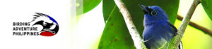 :: Birding Adventure Philippines | Guided birdwatching tours anywhere ...